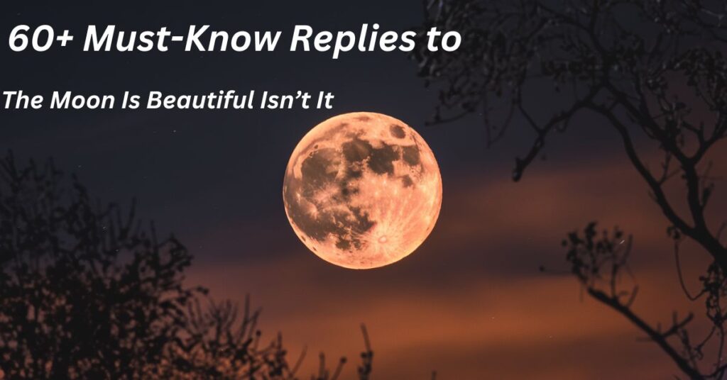 60+The moon is beautiful isn't it response,Meaning, Mystery